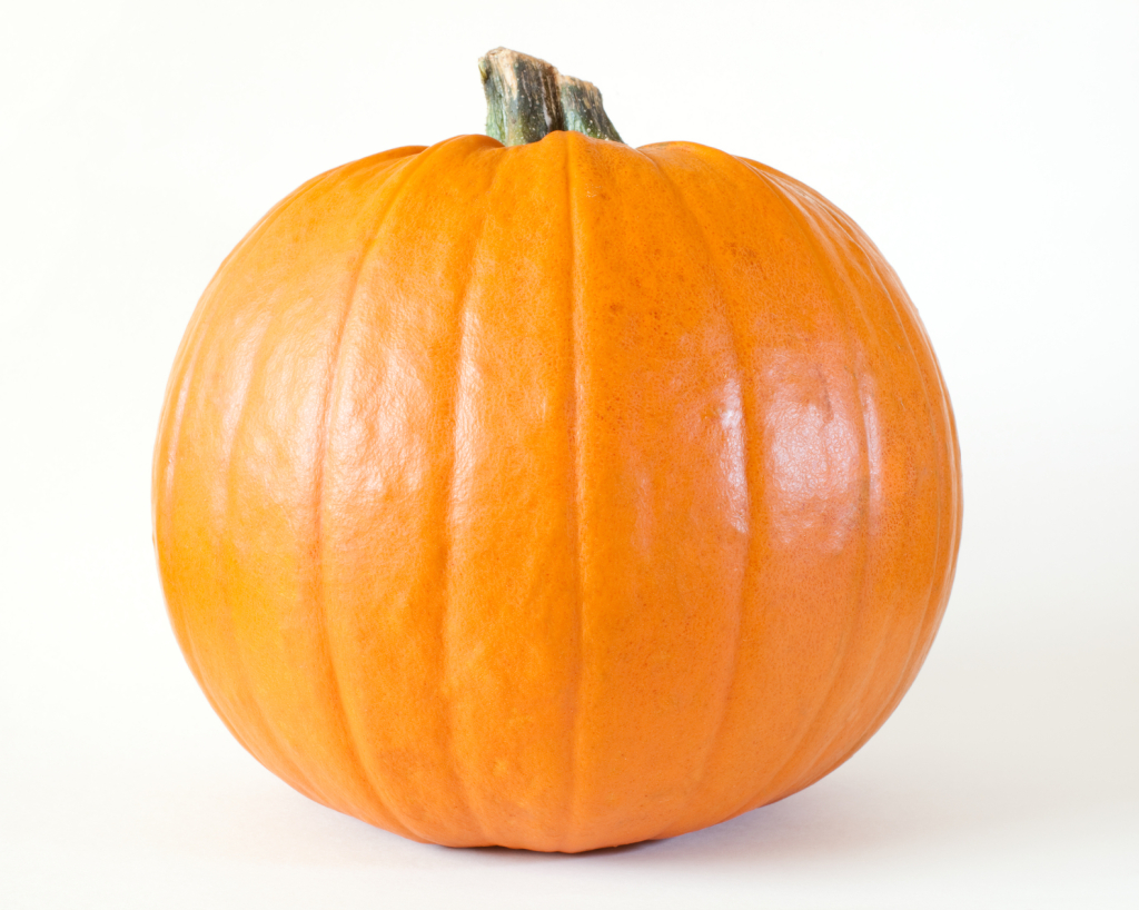This Four Course Pumpkin Meal Will Change Your Life – BOB 100.7 This Four Course Pumpkin Meal Will Change Your Life – BOB 100.7